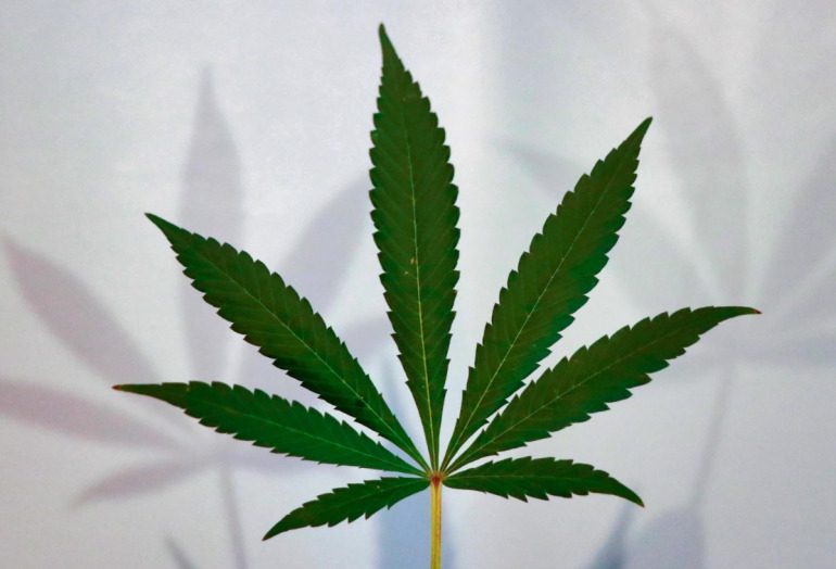 アメリカで定着したCBD商品は日本でどこまで浸透する？｜@DIME アットダイム